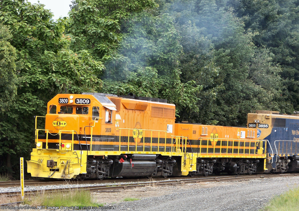 NECR 3809 and NECR 809